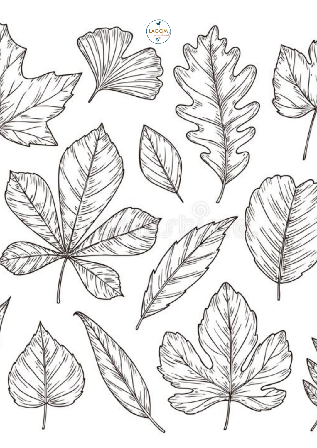 Színezzünk dala lovat vagy őszi faleveleket | Lagom Neked Magazin